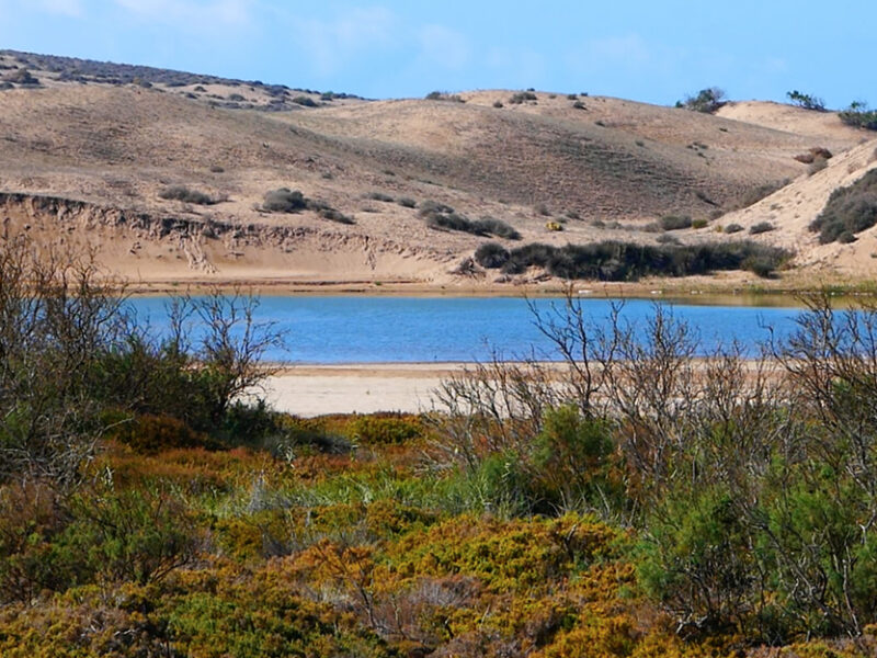 Sidi R'bat - Sidi Binzarne - Explore Agadir Souss Massa