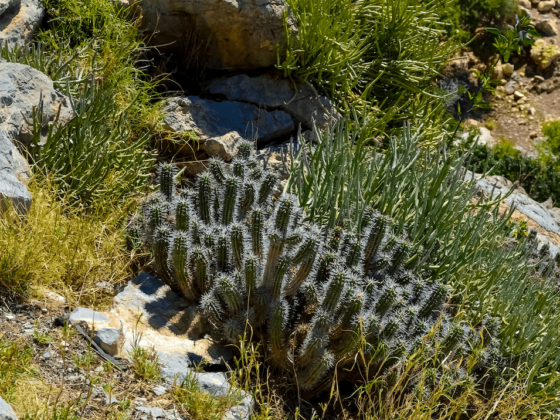 Cap Ghir et son phare - Explore Agadir Souss Massa