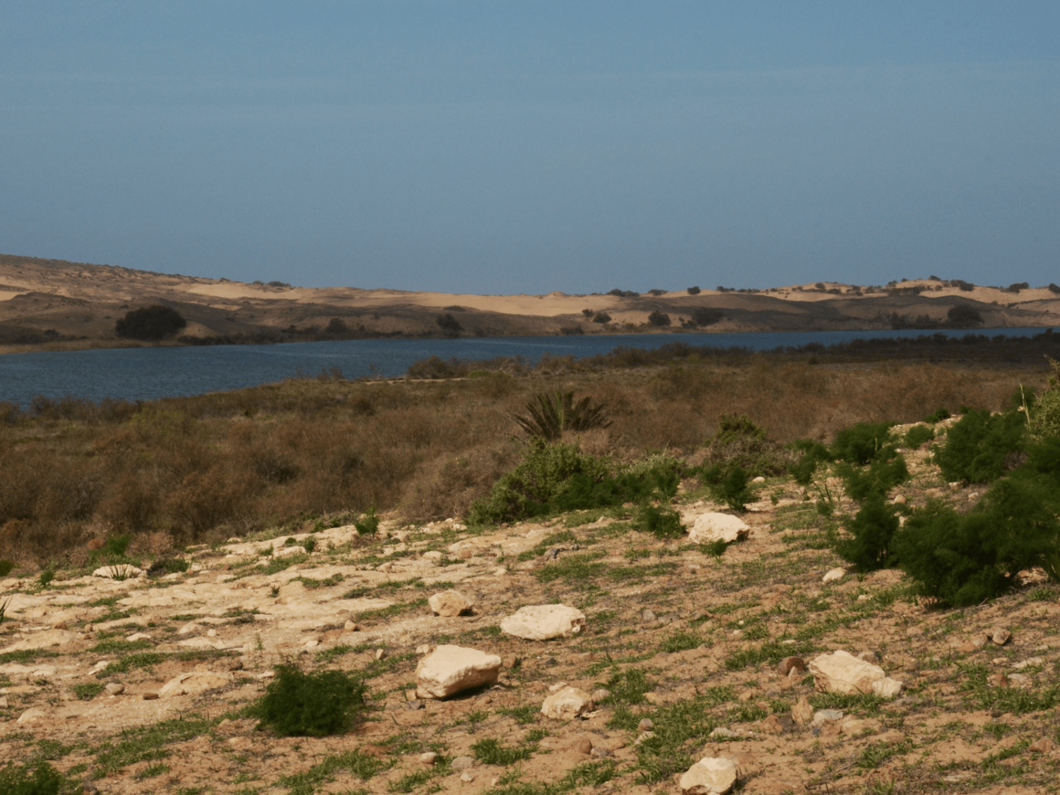 Parc National Souss Massa - Explore Agadir Souss Massa