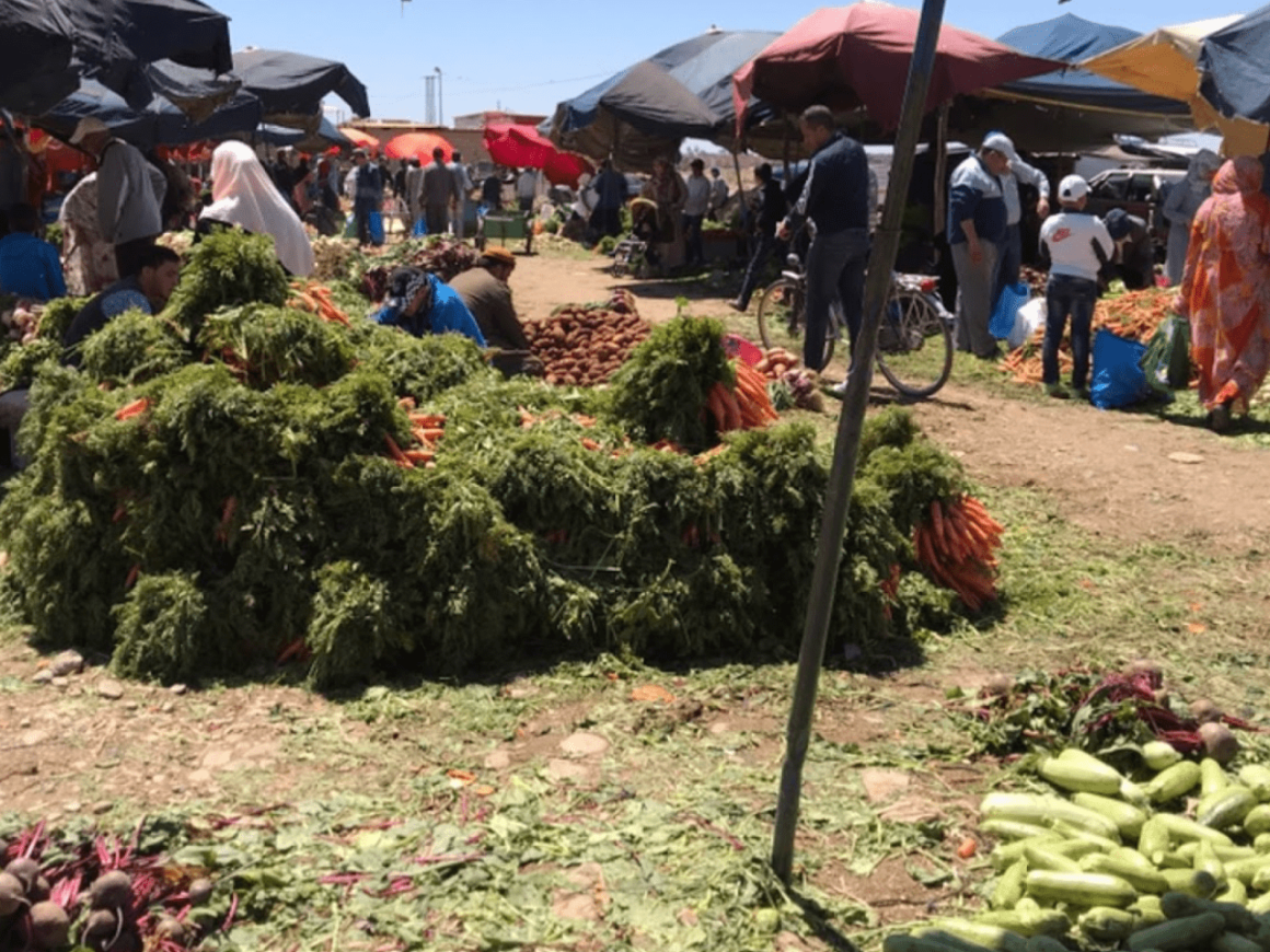 Souks autour de Taroudant - Explore Agadir Souss Massa