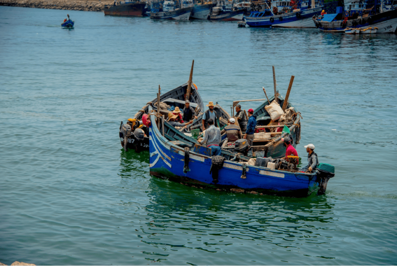 Fish restaurant in Agadir - Fishing port - Explore Agadir Souss Massa