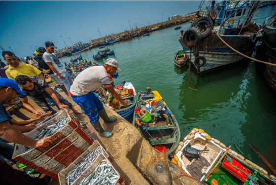 Fish restaurant in Agadir - Fishing port - Explore Agadir Souss Massa