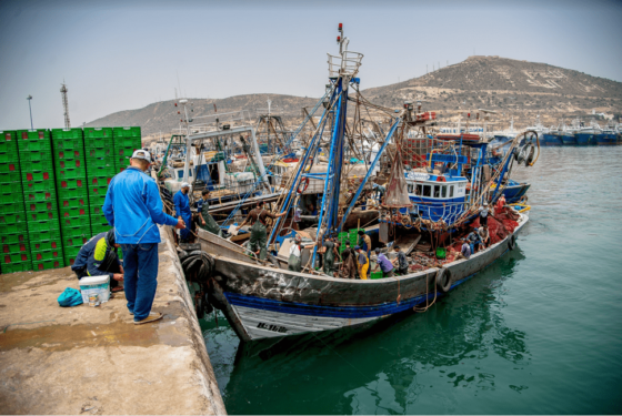 Fish restaurant in Agadir - Fishing port - Explore Agadir Souss Massa