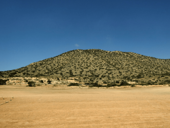 Sidi R'bat - Sidi Binzarne - Explore Agadir Souss Massa